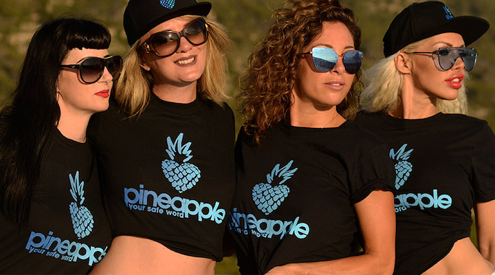 What to Expect from Therapy Webinar by Pineapple Support | Cam101